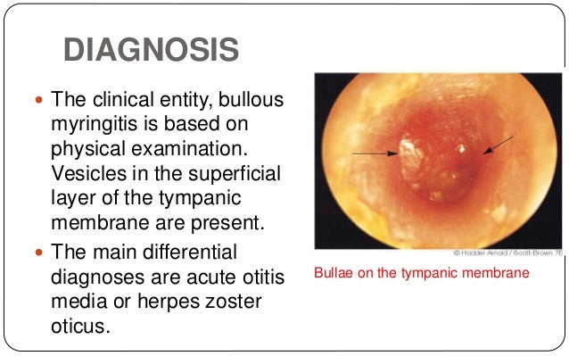 External auditory canal anatomy pathologies & management