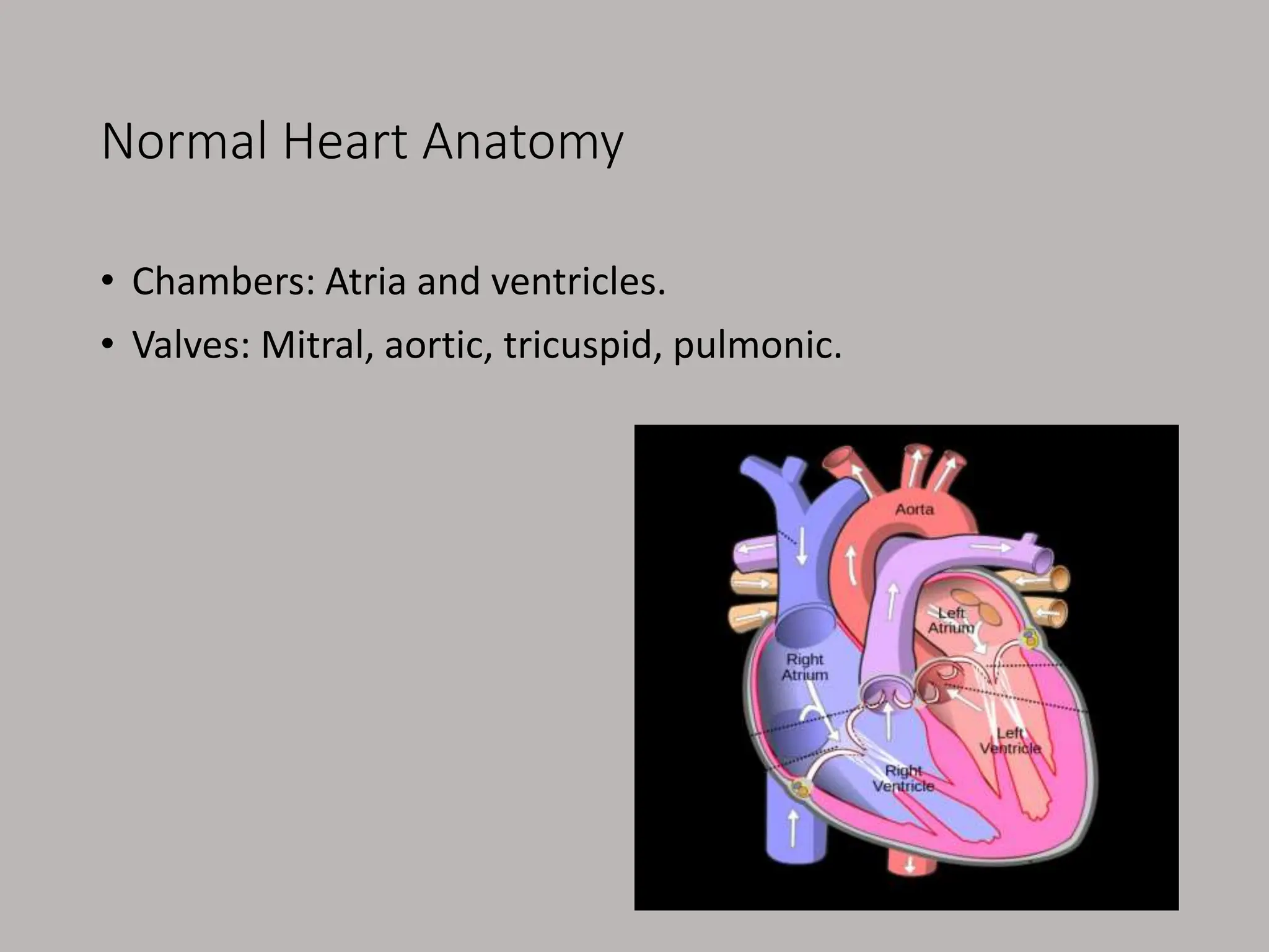 how to read echocardiography of heart.pptx