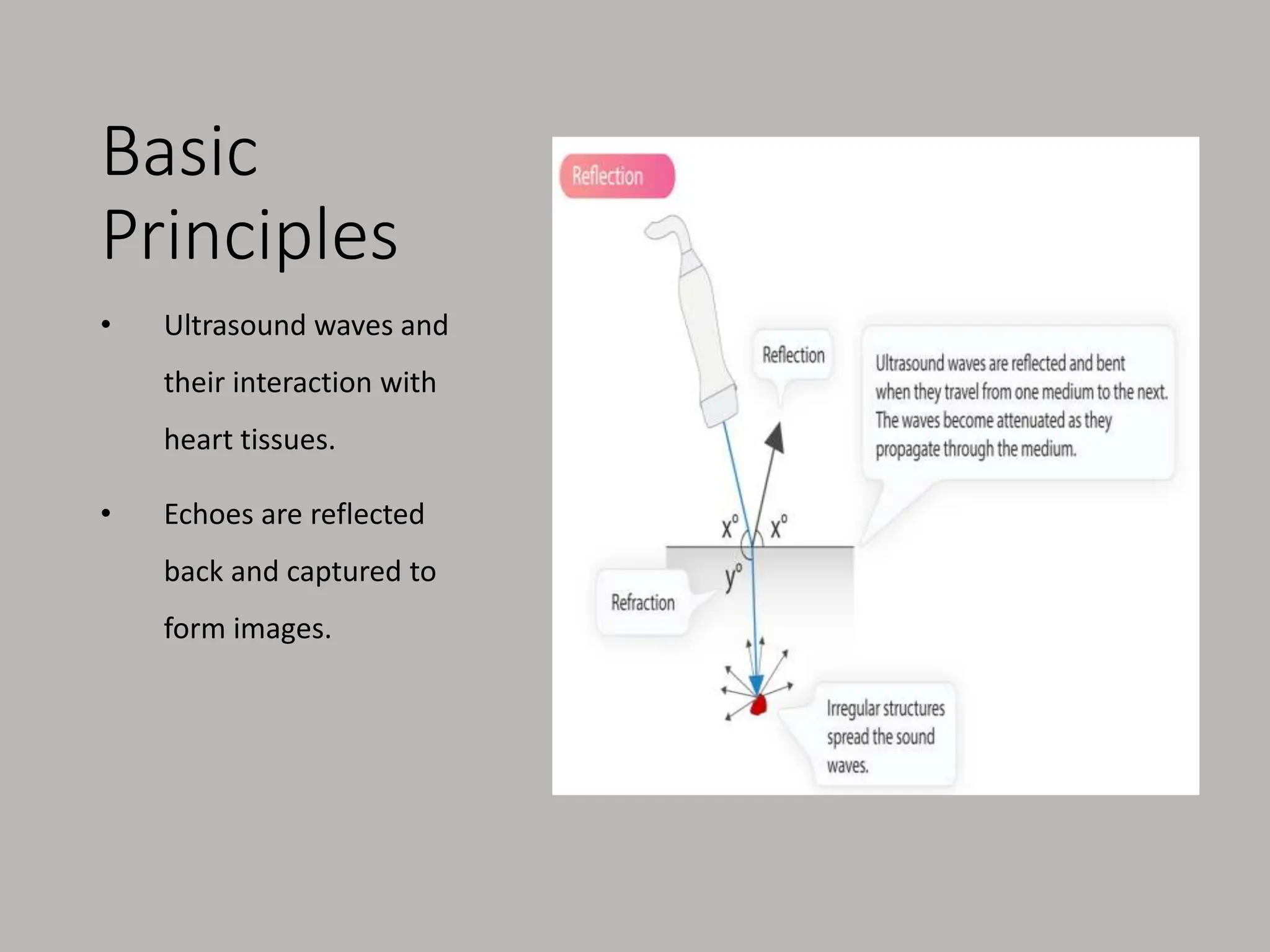 how to read echocardiography of heart.pptx