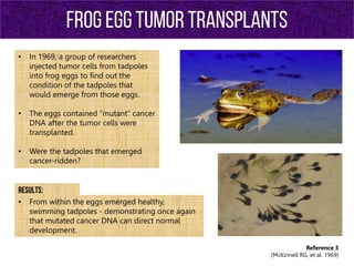 Is Cancer a Genetic Disease? | The Cancer Genome Atlas Project Results ...