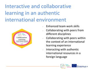 Opening up Virtual Mobility: a study of skills and competences | PDF
