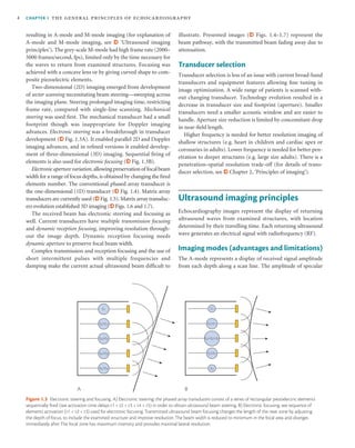 EAE Textbook of Echocardiography - sample | PDF