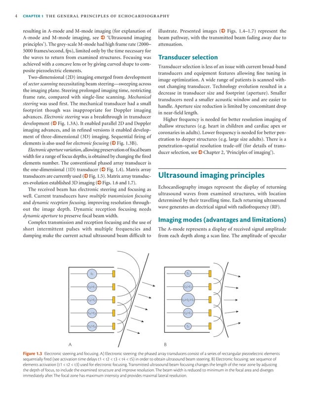 EAE Textbook of Echocardiography - sample | PDF