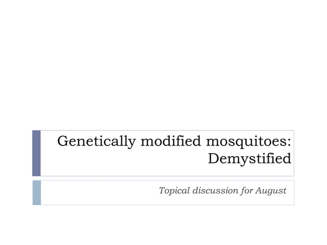 Genetically modified mosquitoes | PDF | Infectious Diseases | Diseases and Conditions