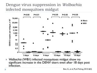 Genetically modified mosquitoes | PDF