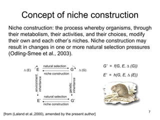 Niche construction for the evolution of industries | PPT