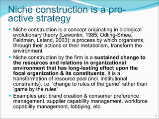 Sponsorship of technological platforms as niche construction: Sun Java ...