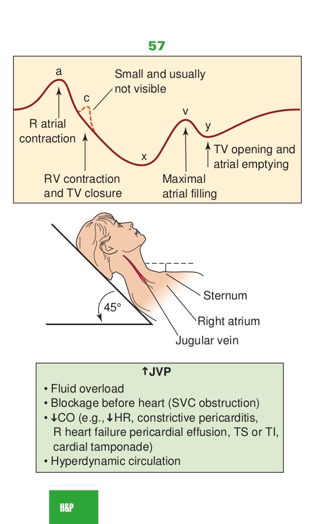 [] Medical notes_clinical_medicine_pocket_guide