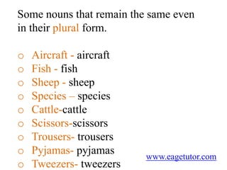 Learning 'plurals' with examples! | PPTX