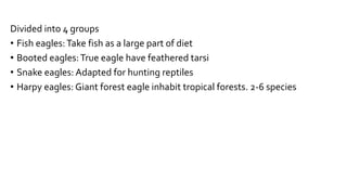 Presentation on Eagle | PPTX