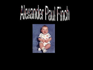 Eagle Court Of Honor Alex | PPT