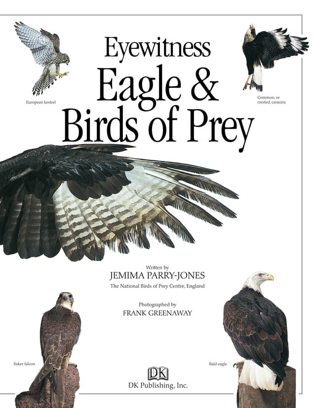 Eagle & birds of prey | PDF
