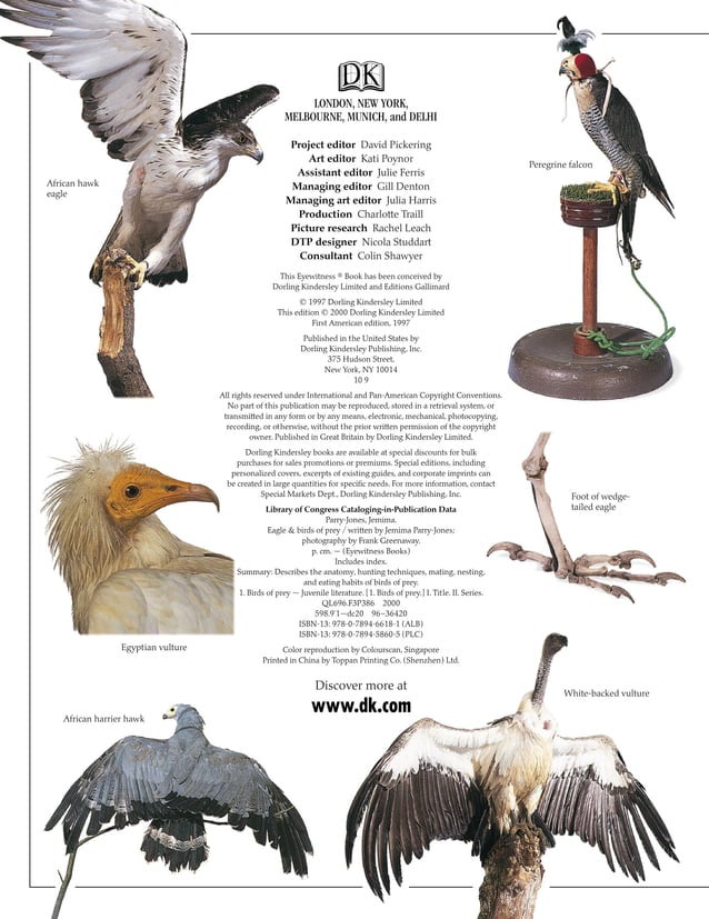 Eagle & birds of prey | PDF