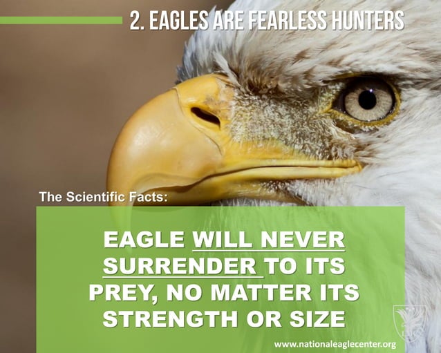 EAGLE LEADERSHIP - student.pdf | Free Download