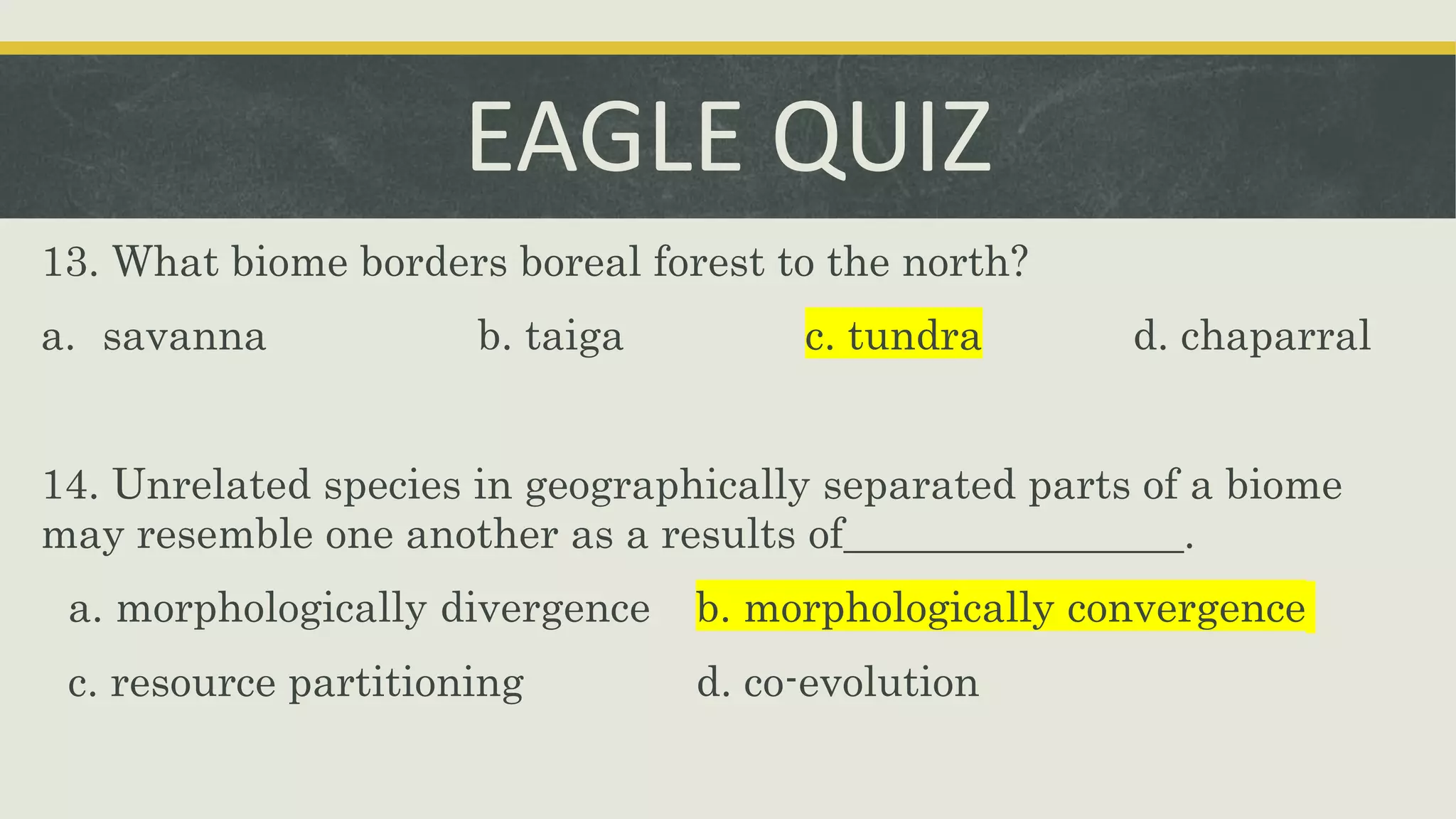 EAGLE QUIZ PPT.pptx