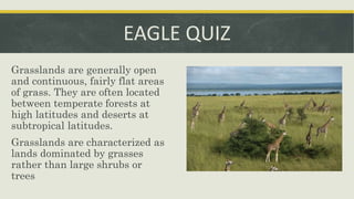 EAGLE QUIZ PPT.pptx