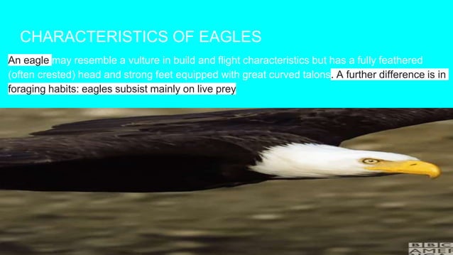 EAGLES.pptx