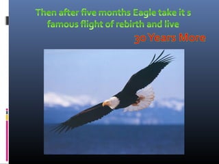 Eagles life story | PPT