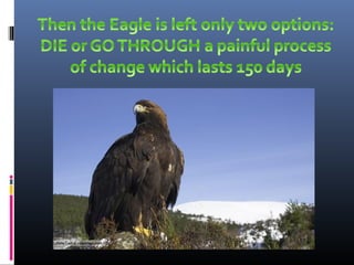 Eagles life story | PPT