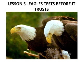 LESSONS TO BE LEARNT FROM AN EAGLE | PPTX