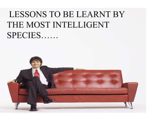 LESSONS TO BE LEARNT FROM AN EAGLE | PPTX