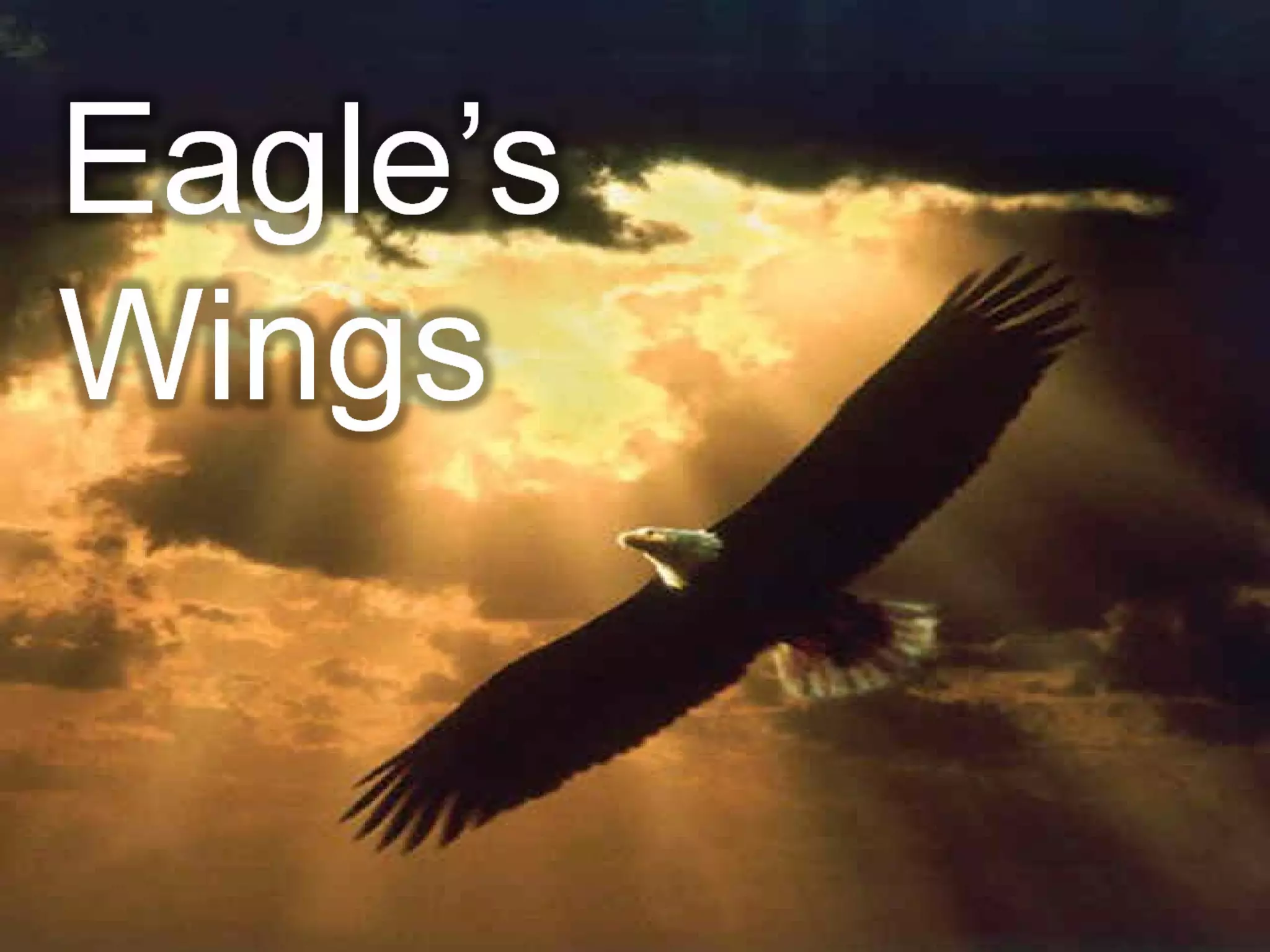 Eagle's wings | PPT