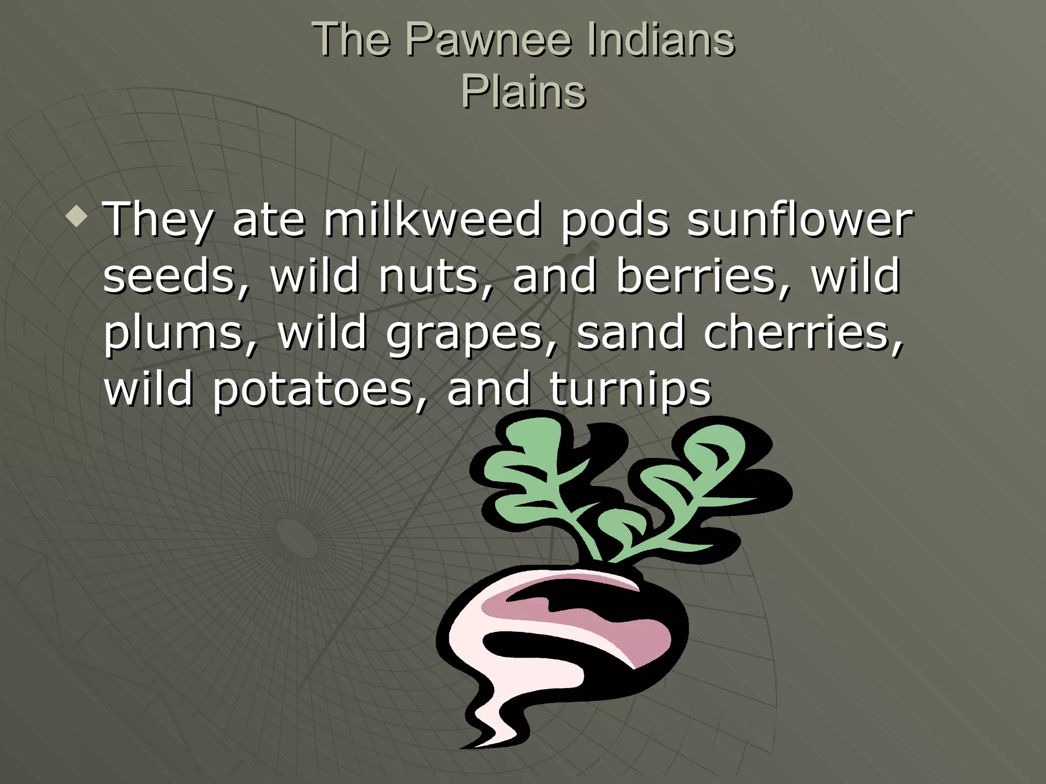 Ethan Albert Native American Project for Mr. Morgan | PPT