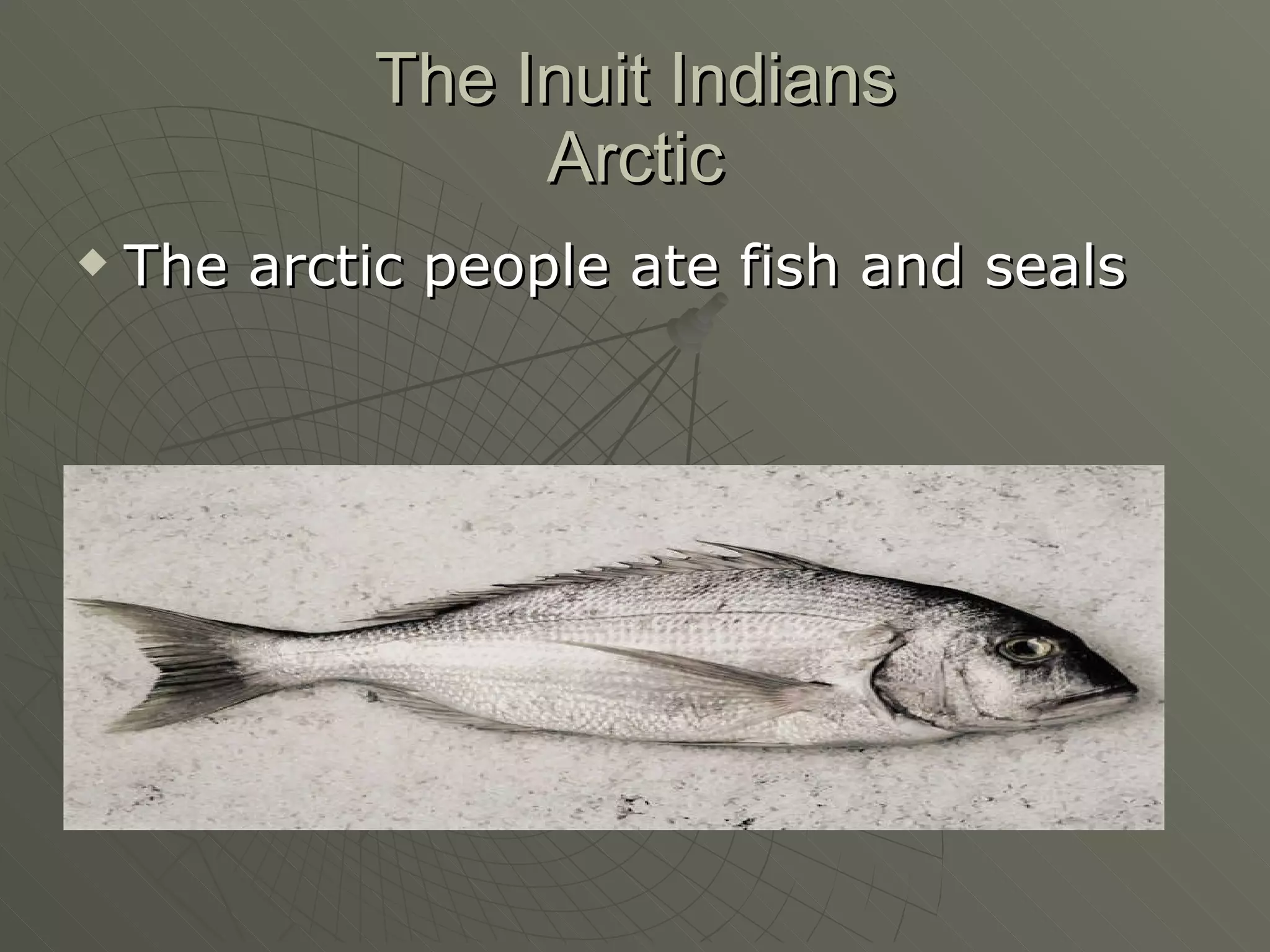 Ethan Albert Native American Project for Mr. Morgan | PPT