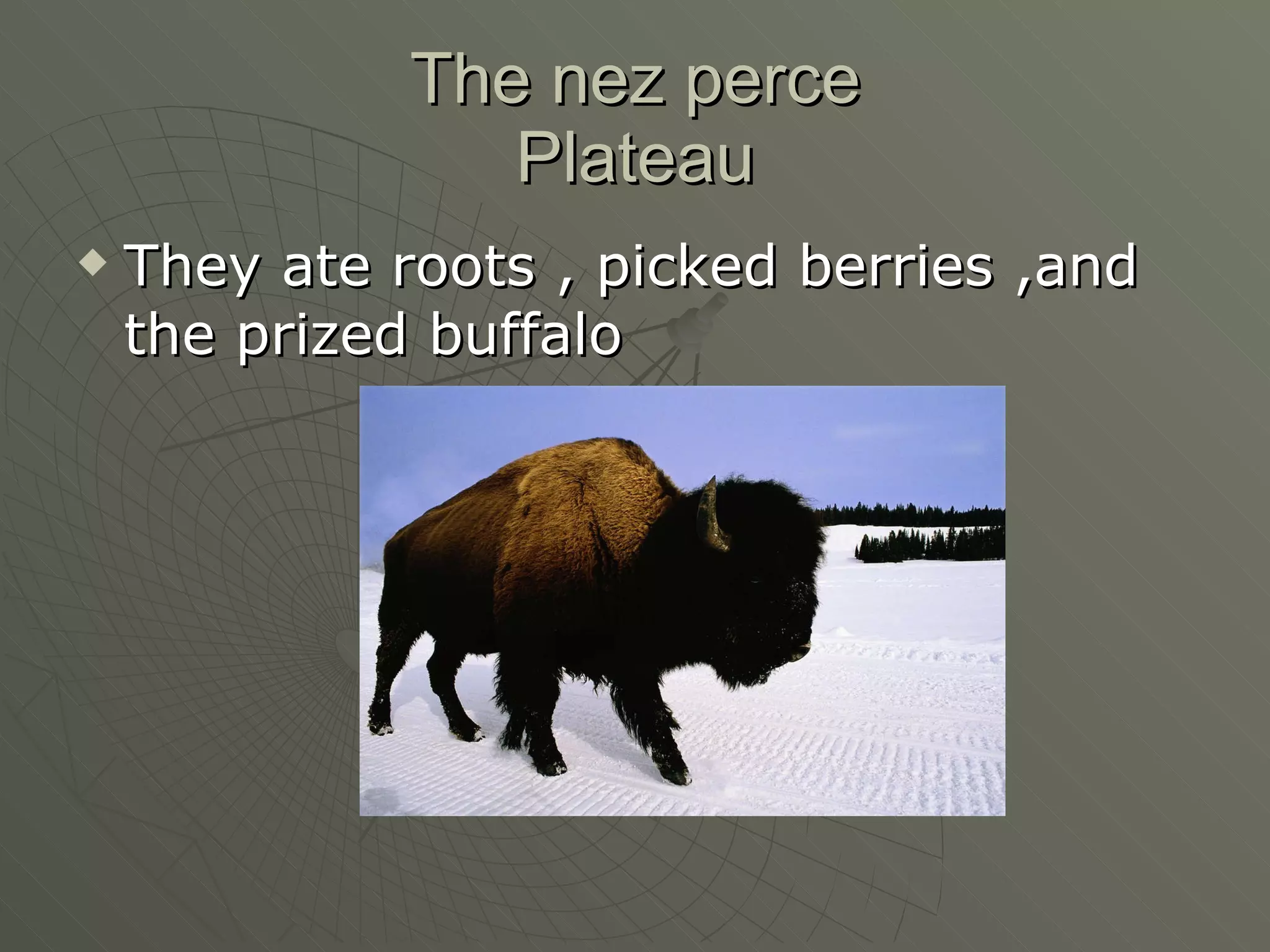 Ethan Albert Native American Project for Mr. Morgan | PPT