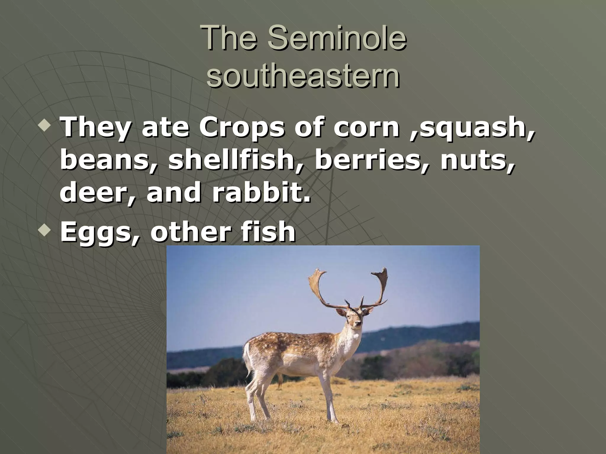 Ethan Albert Native American Project for Mr. Morgan | PPT