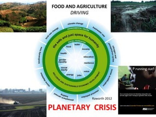 Towards Precepts of Food System Sustainability | PPT