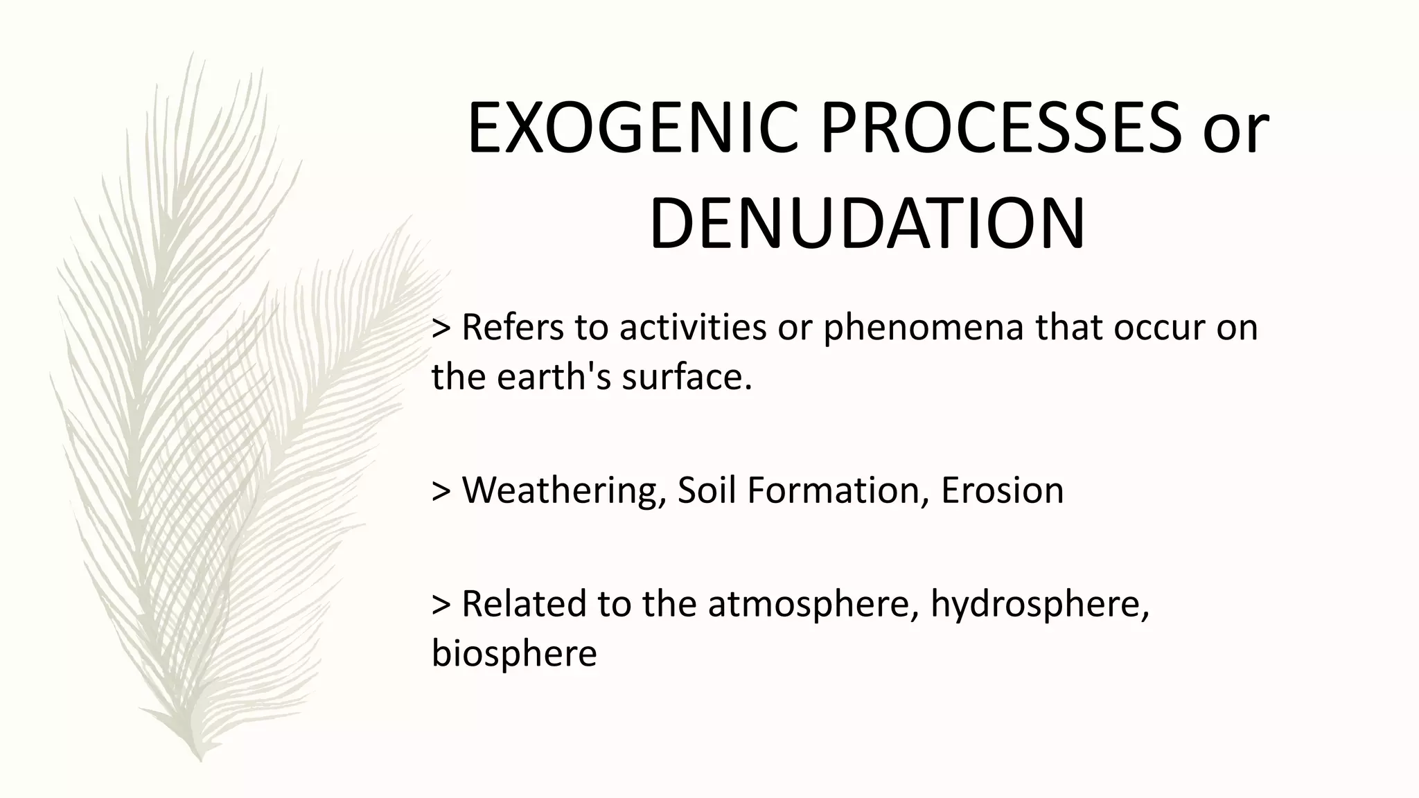 Exogenic Processes | PPTX