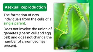 eals-q2-ppt2-perpetuation-of-life reprotduction | PPTX