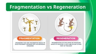 eals-q2-ppt2-perpetuation-of-life reprotduction | PPTX