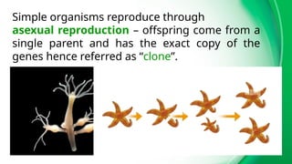 eals-q2-ppt2-perpetuation-of-life reprotduction | PPTX