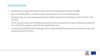 Exploiting LMM based knowledge for image classification tasks | PPTX
