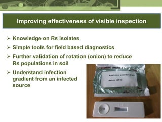 Visual inspection to manage bacterial wilt in Sub-Saharan Africa ...