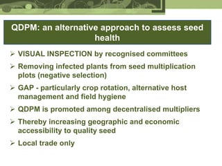 Visual inspection to manage bacterial wilt in Sub-Saharan Africa ...