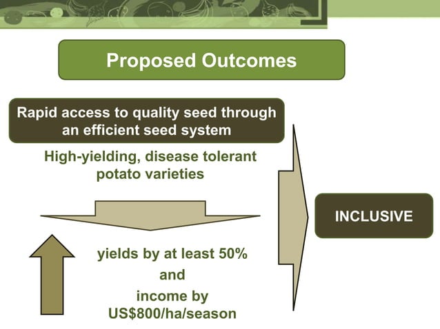 CIP’s Potato Strategy for Africa: Improving Livelihoods of Potato ...