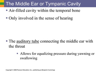 Ear | PPTX | Ear, Nose and Throat Conditions | Diseases and Conditions