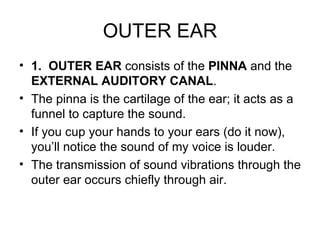 Ear Anatomy | PPT