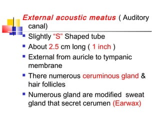 ppt of Sensory organ | PPT
