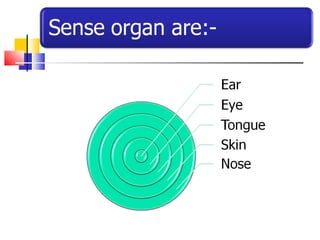 ppt of Sensory organ | PPT