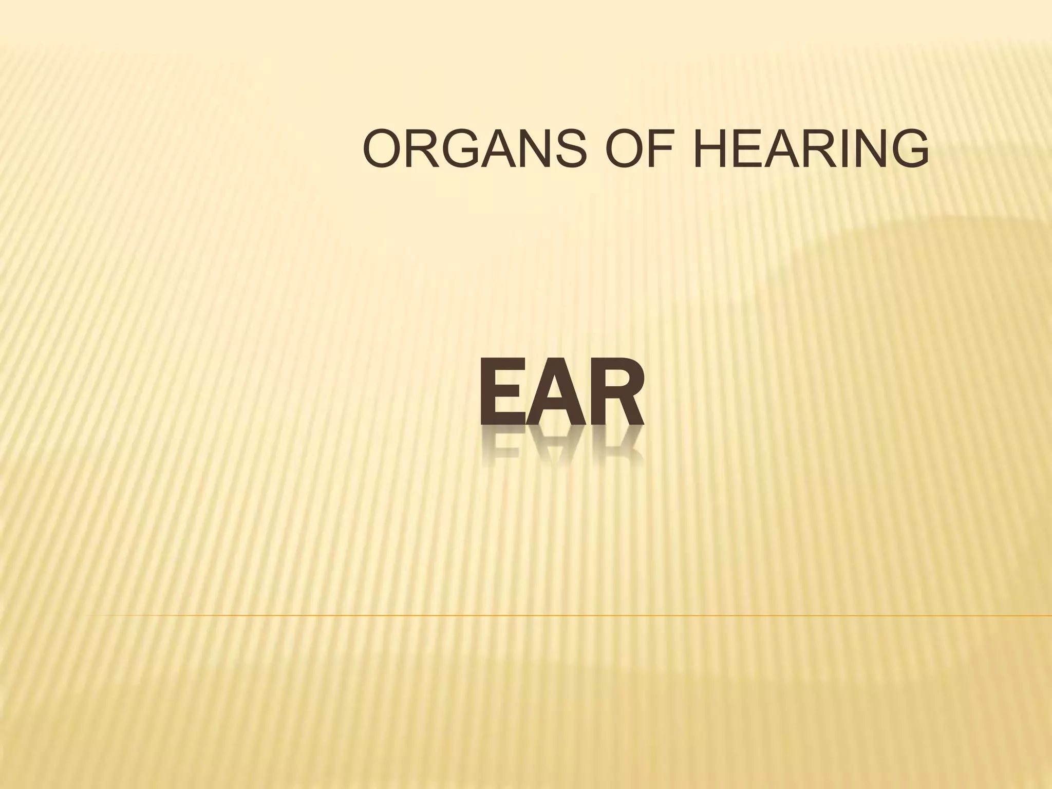 Ear | PPTX