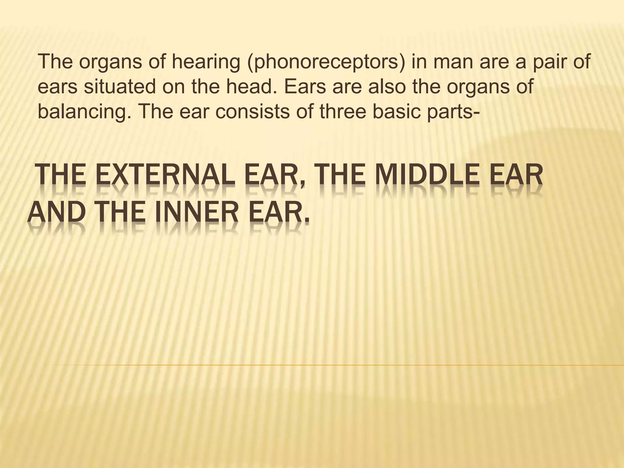 Ear | PPTX