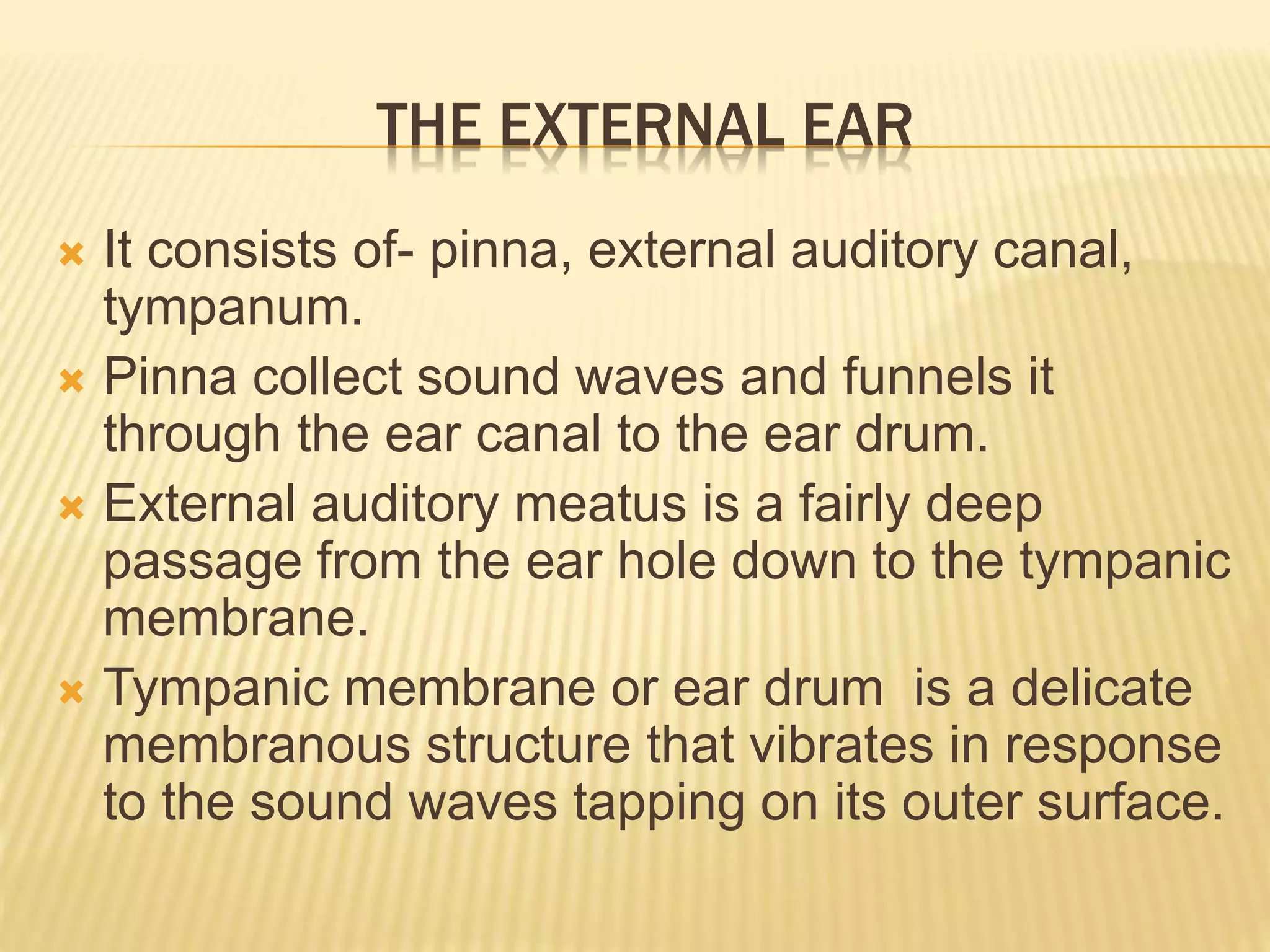 Ear | PPTX