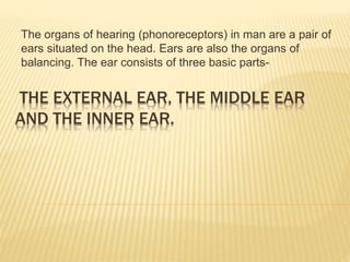 Ear | PPTX