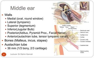 Ear | PPT