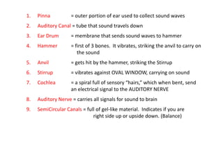 ear anatomy, structures, functions | PDF