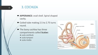 Anatomy & Physiology of ear | PPT